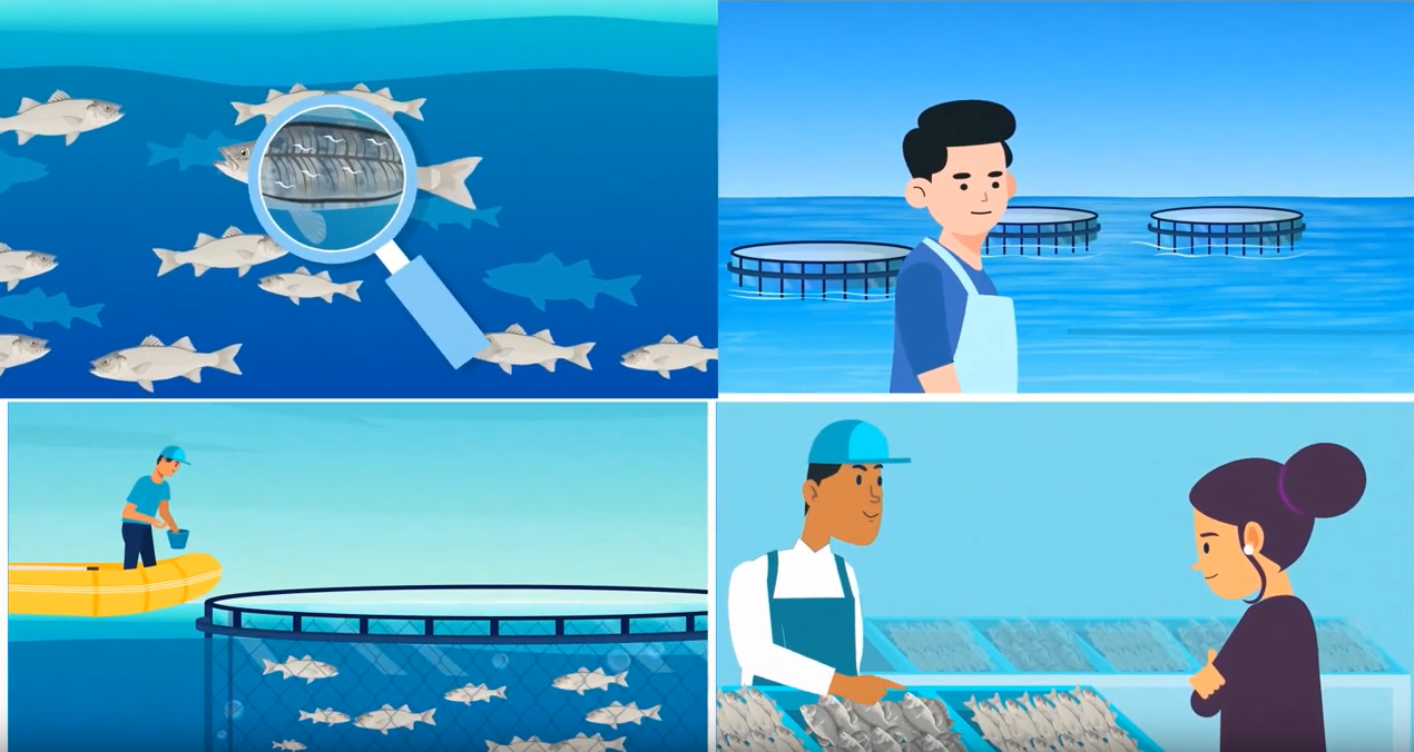 Home - PerformFISH - PerformFISH